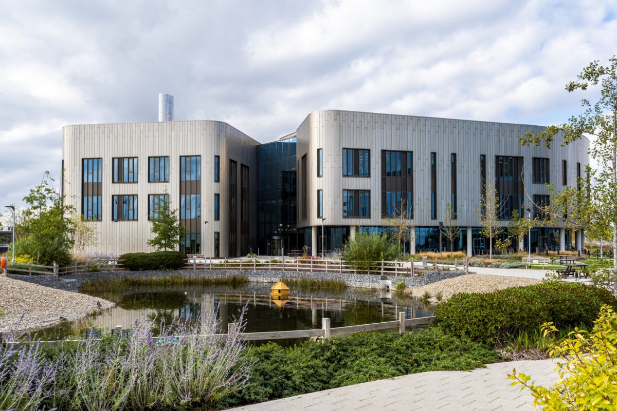 Projects Archive - SDC