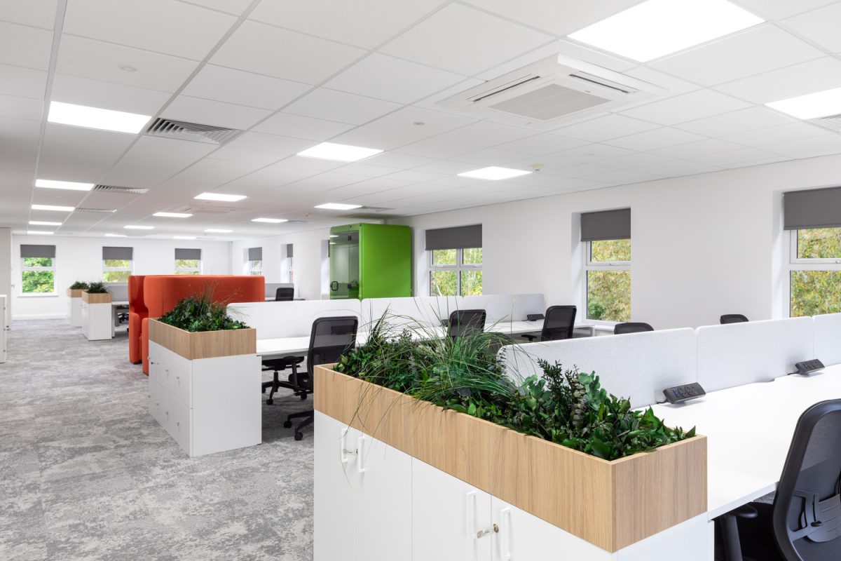 Projects Archive - SDC